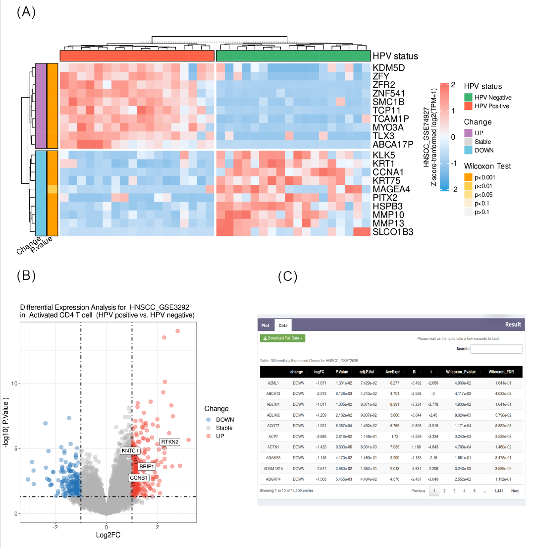 iMeta | 罗鹏/袁硕峰/张健/程全-合作开发用于探索HPV相关肿瘤的肿瘤免疫微环境的shiny网页工具...-CSDN博客
