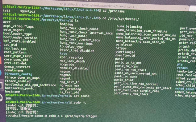 Linux内核panic核心执行逻辑_reboot after panic-CSDN博客