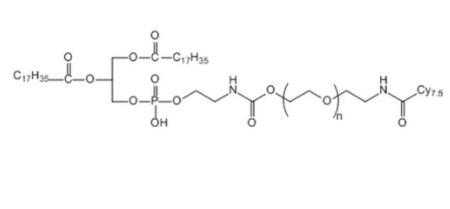 磷脂聚乙二醇：DSPE-PEG-Cy7.5/Cy5/CY5.5/Cy3，花青素染料试剂知识普及-CSDN博客
