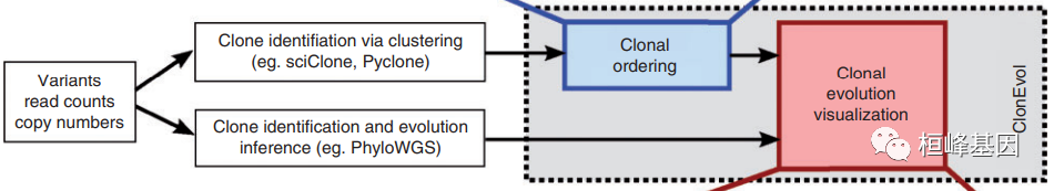 Topic 2.克隆进化之 ClonEvol_pyclone和sciclone-CSDN博客