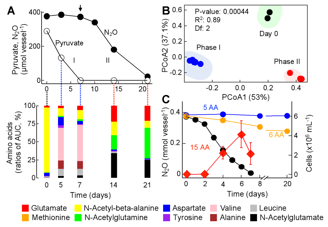 Nature Communications | 酸性条件下土壤细菌还原N2O-CSDN博客