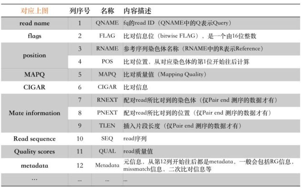 bam文件读取_生物信息学分析实用小技巧（五）：BAM/SAM两三事_佛十格格的博客-CSDN博客