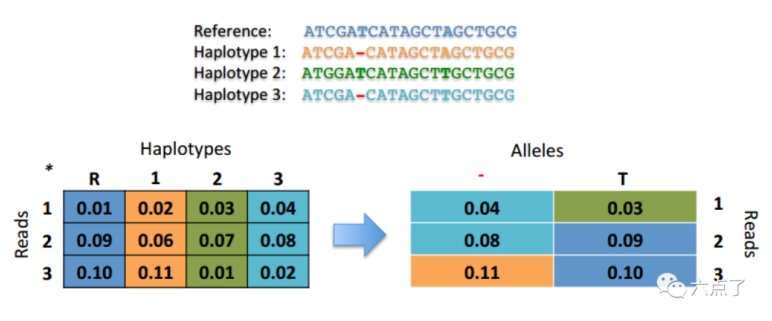 一文详解GATK-HaplotypeCaller 变异检测原理和实战_JaneMarple️的博客-CSDN博客