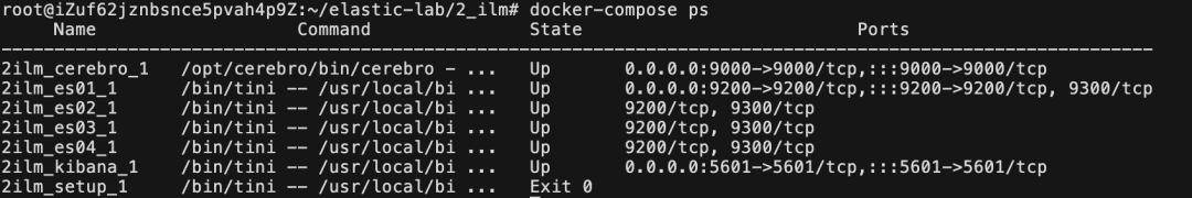 Elasticsearch索引生命周期管理(ILM)_elasticsearch ilm-CSDN博客