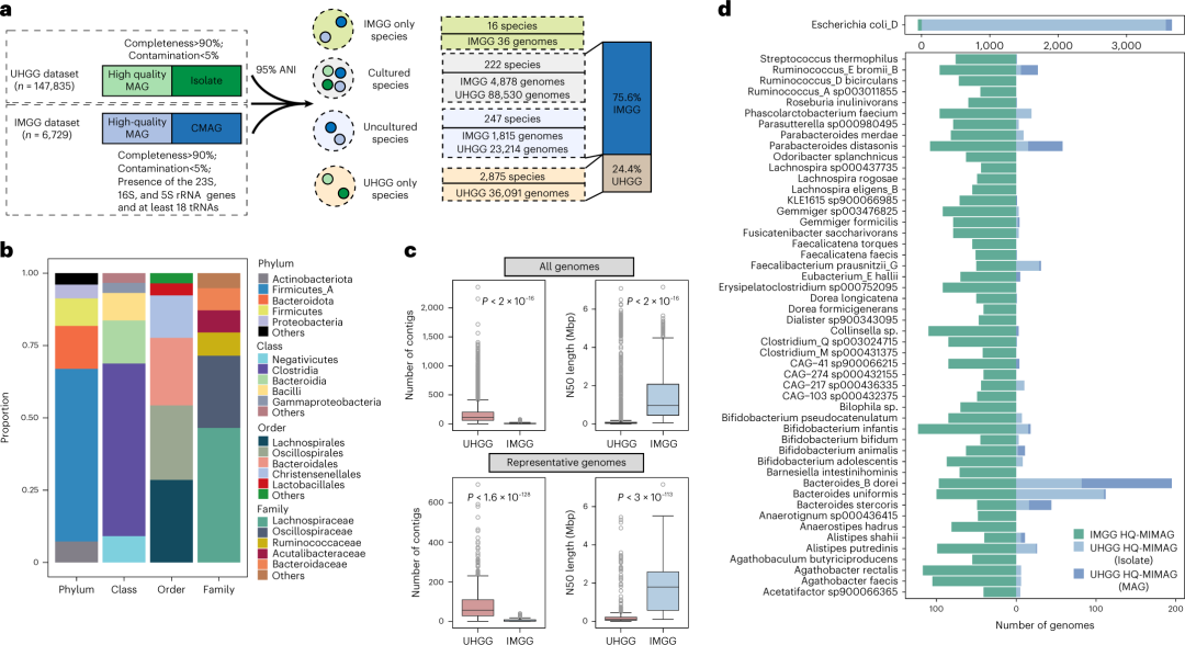 Nat Microbiol | 内农大张和平团队新突破—高分辨率下的人类肠道微生物组-CSDN博客