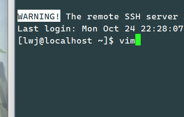linux安装Vim-plug和配置.vimrc文件_怎么安装vimplug-CSDN博客