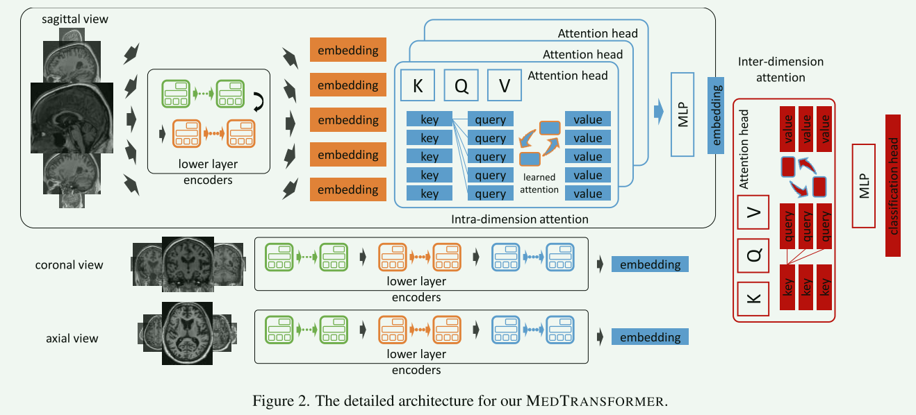 【论文阅读笔记】MedTransformer: Accurate AD Diagnosis for 3D MRI Images through ...