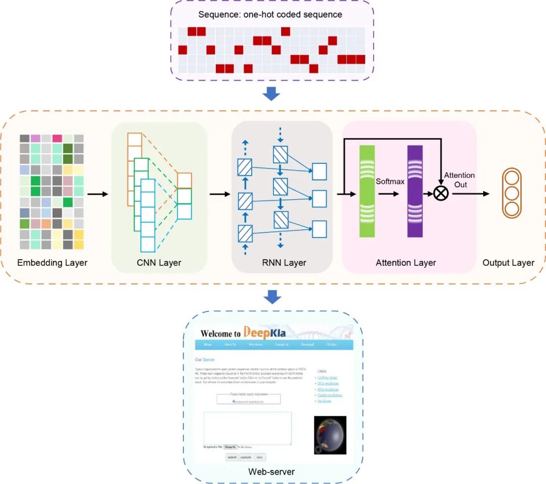iMeta| 微生物组分析技术类文章合集-CSDN博客