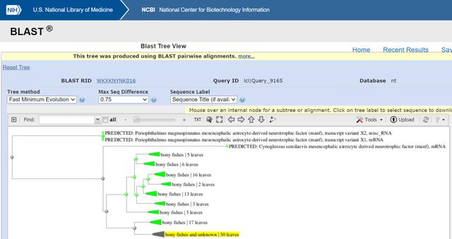 clustalw序列比对_序列比对，科研必备的几款软件_weixin_39807691的博客-CSDN博客