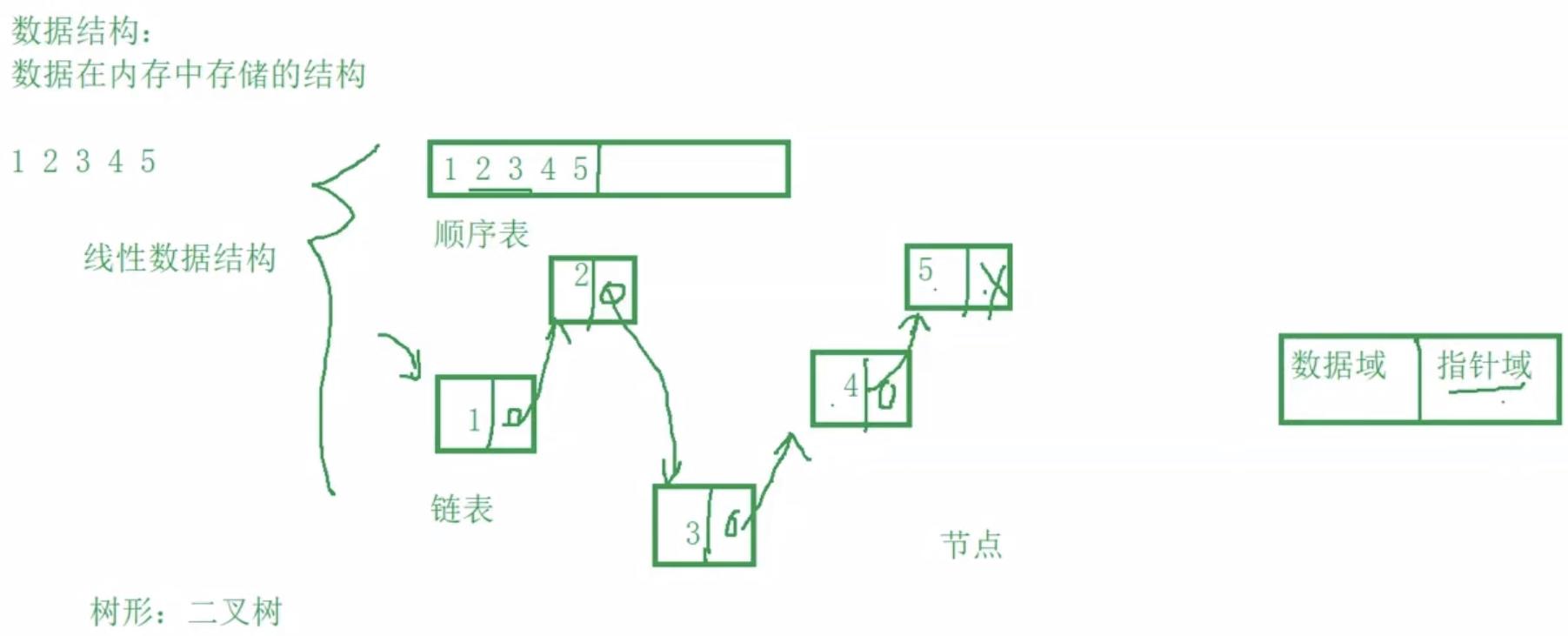 结构体 结构成员的访问和赋值结构体传参结构体的自引用结构体内存对齐位段struct结构体遍历字段赋值 Csdn博客 7983