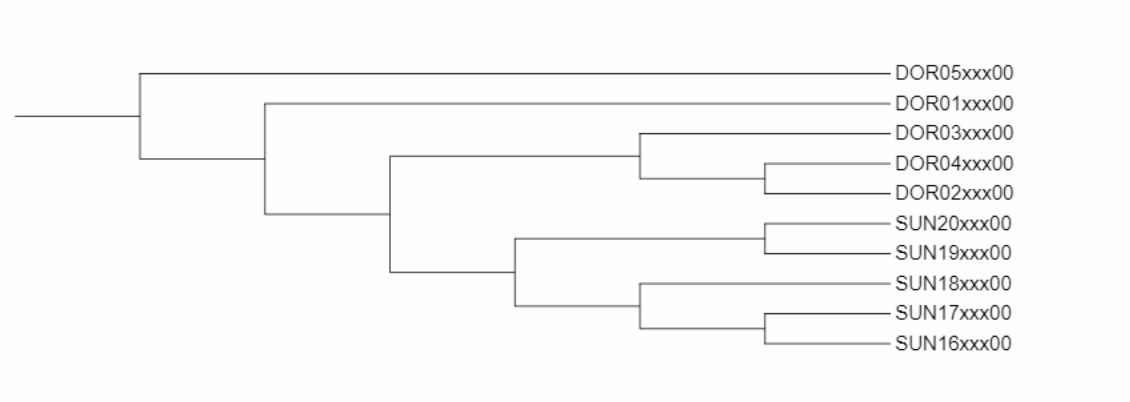 linux下phylip软件构建NJ树,利用phylip软件对SNP数据构建进化树_榴莲炸酱的博客-CSDN博客