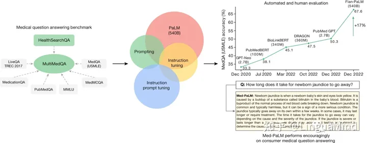 Med-PaLM2重磅揭秘！AI医生成绩比肩人类-CSDN博客