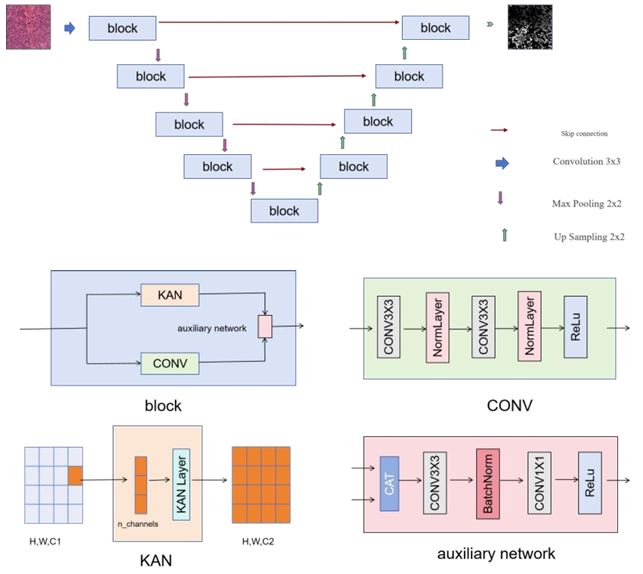 不得不服，这种KAN+UNet思路也太绝了！审稿人都得为你让条路！_kandu-net-CSDN博客