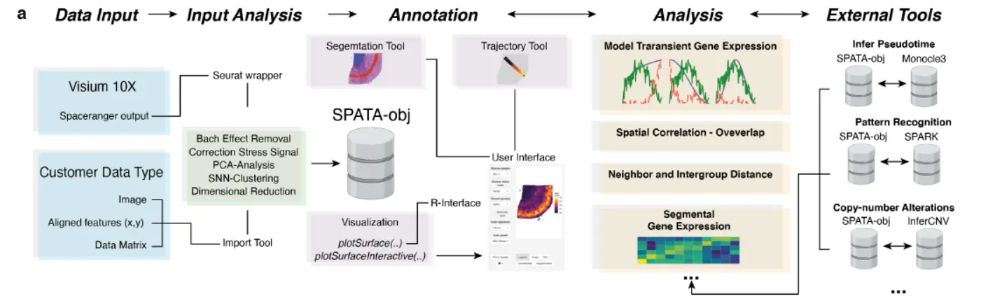 10X空间转录组轨迹分析之SPATA_createtrajectories函数-CSDN博客