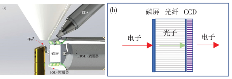 【EBSD】干货！EBSD常见问题解答！_ebsd思考题-CSDN博客
