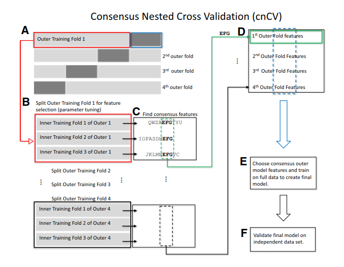 嵌套交叉验证的一致特征（Consensus features nested cross-validation）-CSDN博客