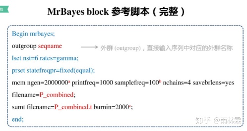 使用MrBayes构建贝叶斯系统发育树【实践】-CSDN博客