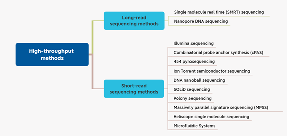 NGS测序分类二三代_ngs分类-CSDN博客
