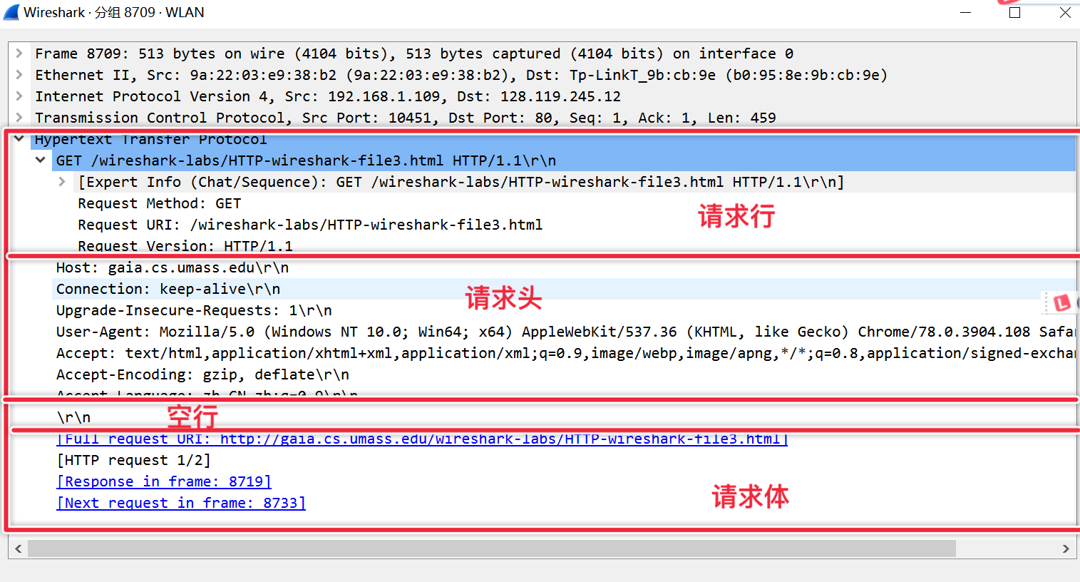 Educoder 计算机网络实验 协议分析第1关 基本请求与应答 Csdn博客