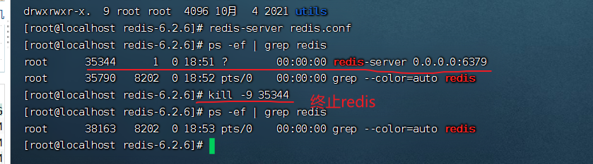 Redis基础篇-CSDN博客