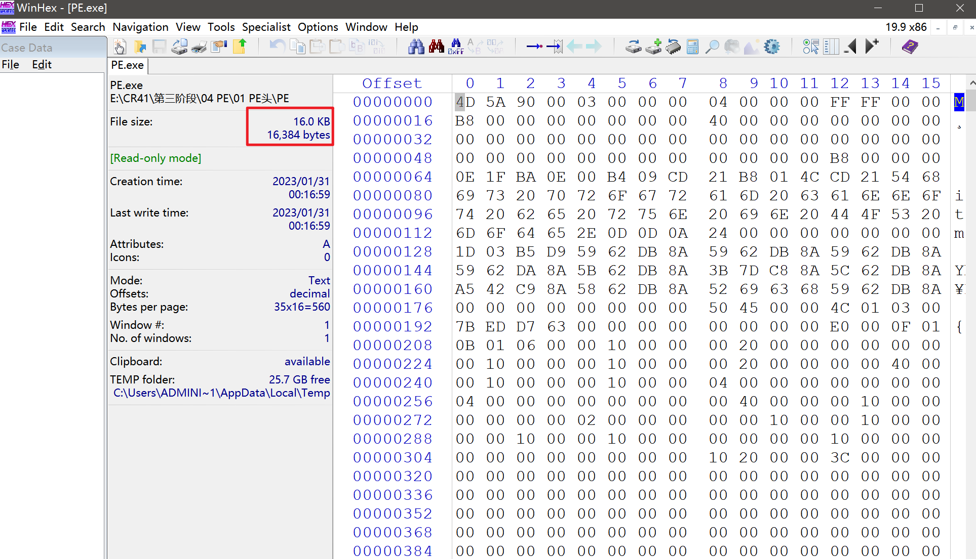 深入理解PE文件格式：结构、优化与安全-CSDN博客