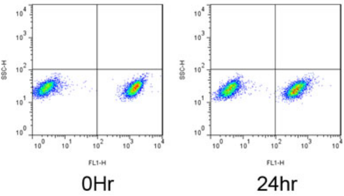 CYTO-ID®长期细胞示踪试剂盒（绿色/红色）-CSDN博客