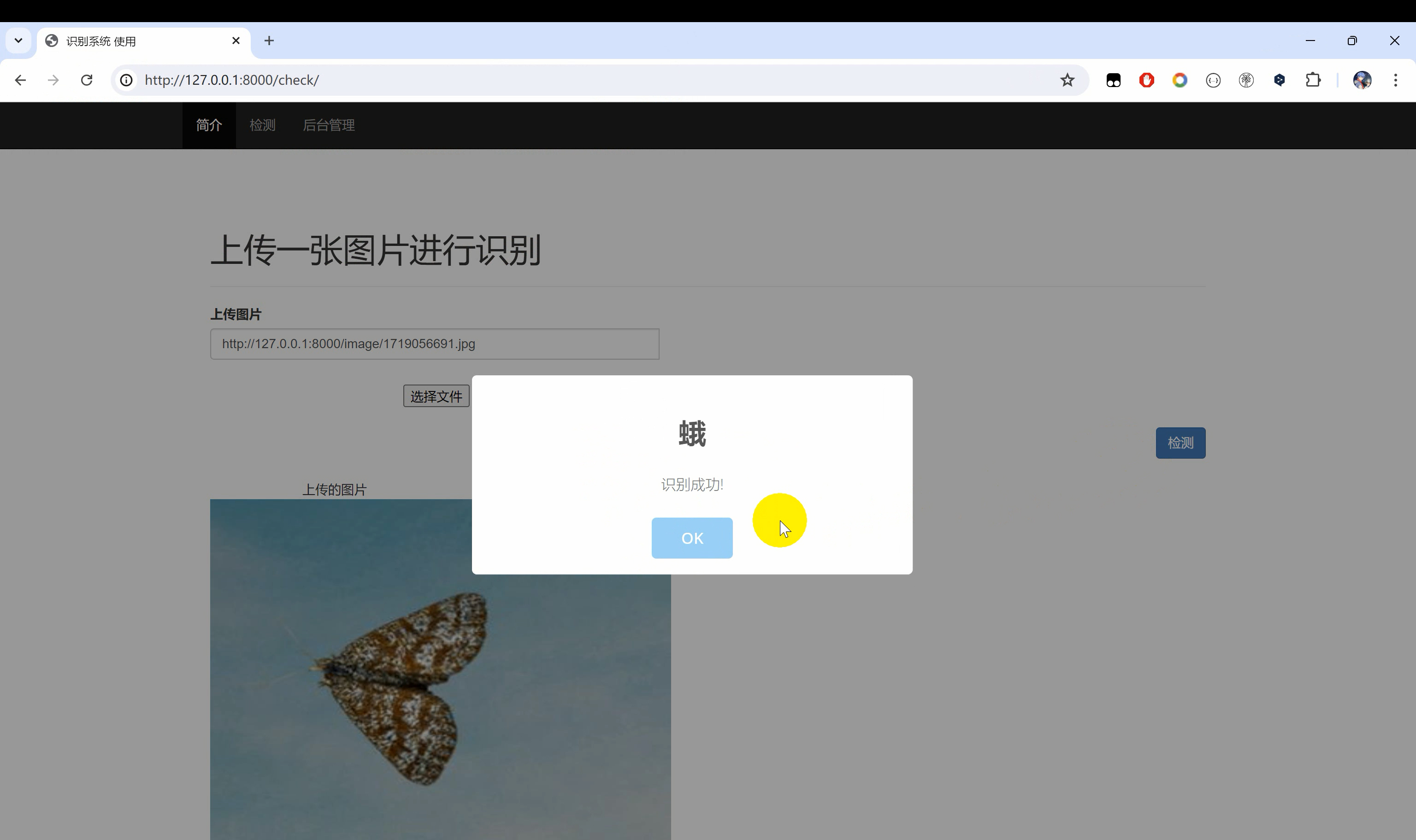 【昆虫识别】pythoncnn卷积神经网络算法人工智能深度学习计算机毕设项目django网页界面平台tensorflow昆虫类型识别python Csdn博客