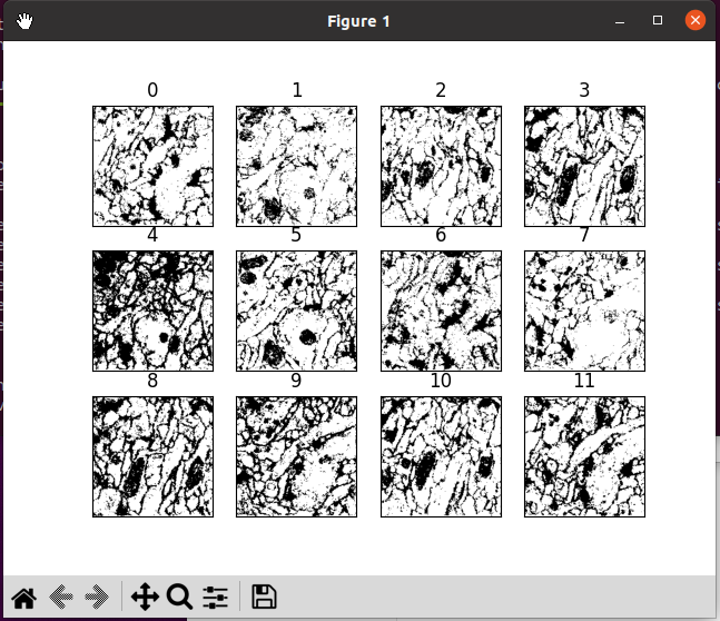 MindSpore社区活动：UNet-2D的图像分割_2d unet-CSDN博客