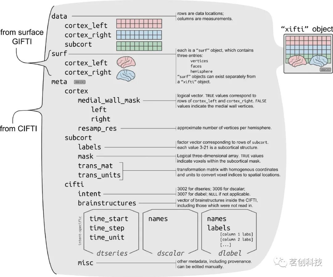 ciftiTools | 用于读取、写入、可视化和操作CIFTI文件的R包-CSDN博客