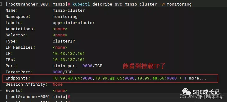 MinIO集群怎么接入Prometheus监控？（下）_prometheus url is unreachable-CSDN博客