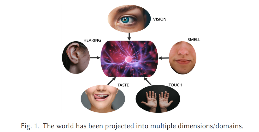 《深度多模态数据融合》综述_多模态 综述 汪萌-CSDN博客