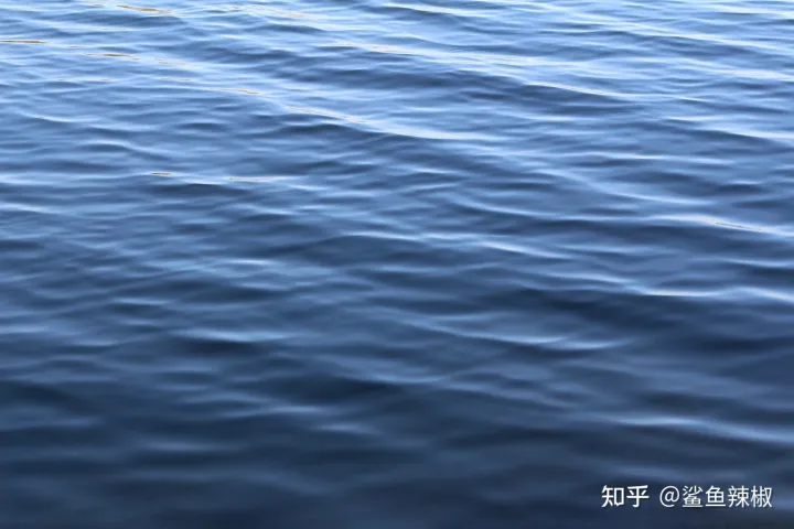 Unity Shader实现水波的技术原理unity实现船的波浪效果 Csdn博客