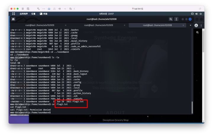 vulnhub刷题记录（Pwn The Tron：1）-CSDN博客