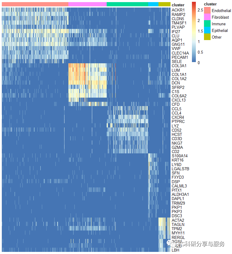 单细胞基因可视化之热图的根本改造2_r语言单细胞数据 基因表达的热图-CSDN博客
