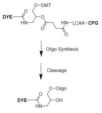 荧光淬灭剂Tide Quencher7.1CPG 500A，TQ7.1CPG 500A，用于标记含有羰基的生物分子-CSDN博客