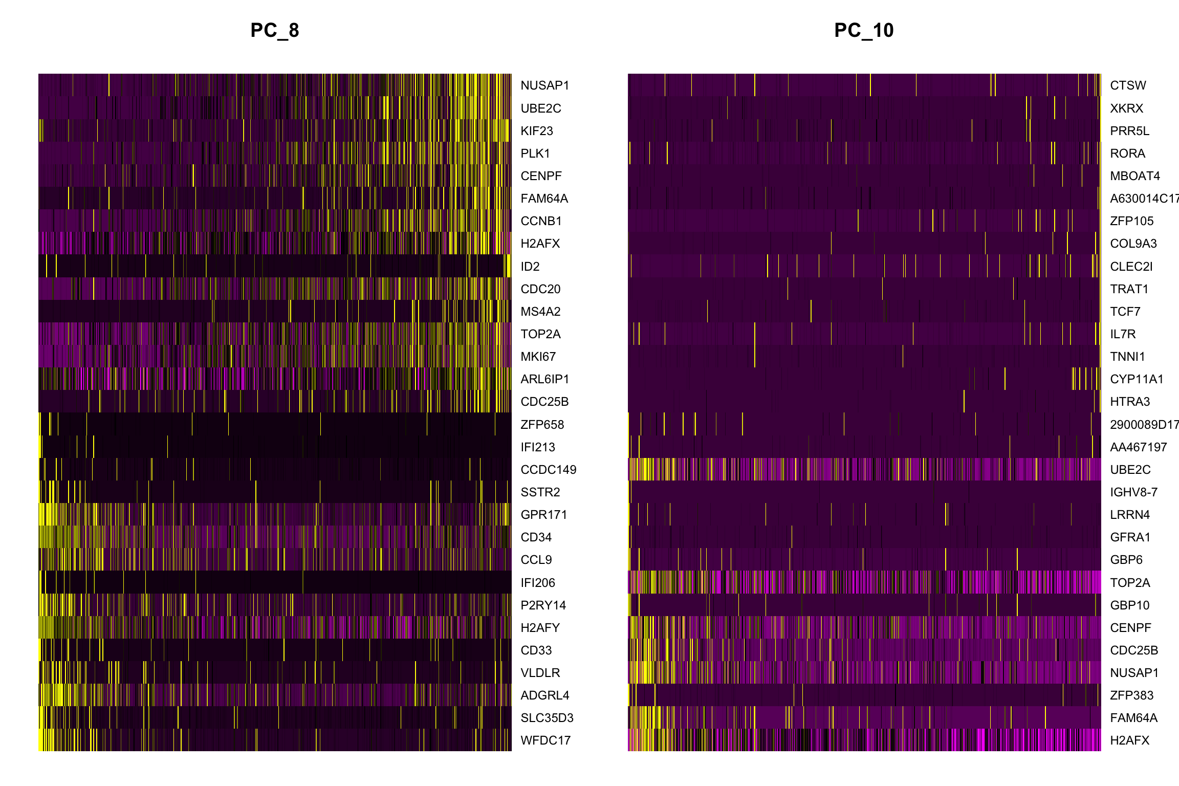 Seurat | 强烈建议收藏的单细胞分析标准流程（细胞周期的影响去除）（三）_seurat按照细胞周期分类-CSDN博客