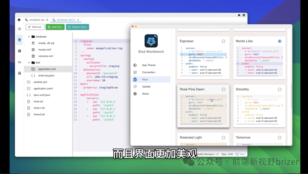 官方客户端也望尘莫及？etcd-workbench如何颠覆你的ETCD管理体验?_etcd客户端工具-CSDN博客