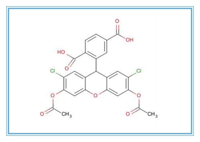 247044-02-6，6 Carboxy H2DCFDA，化学还原的乙酰化的荧光素-CSDN博客