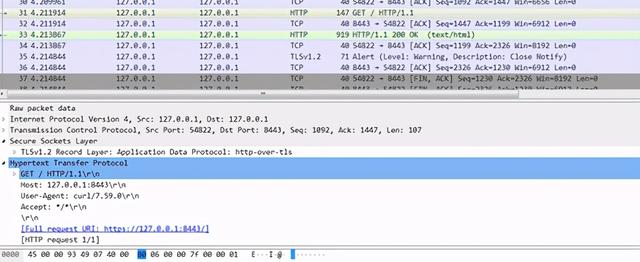wireshark 无法解密tls_wireshark配置解密TLS 1.2-CSDN博客