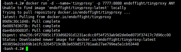 win10直接使用wget下载直连资源（docker+tinyproxy）_tinyproxy windows-CSDN博客