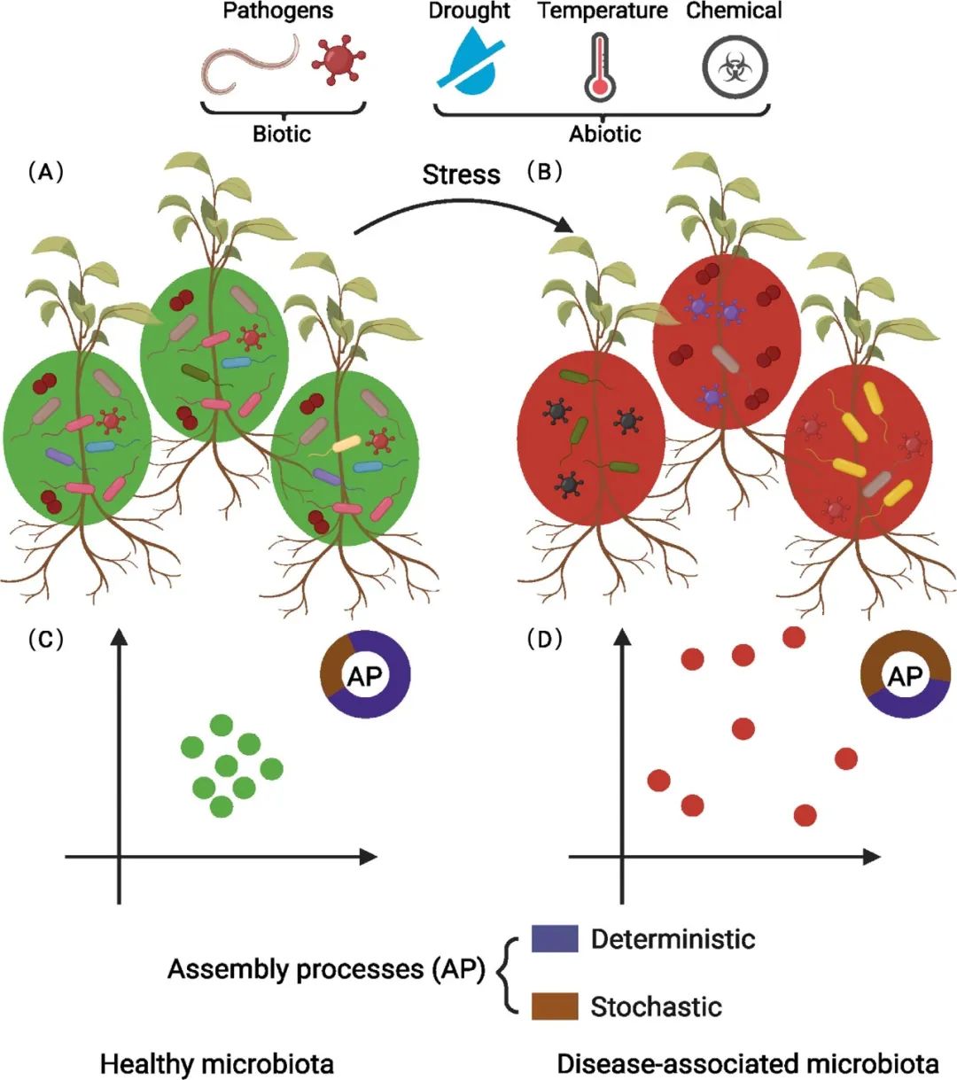 Trends in Plant Science | 植物微生物群失调与安娜-卡列尼娜原则-CSDN博客