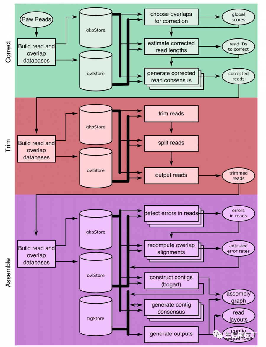 三代组装软件简介_canu组装-CSDN博客