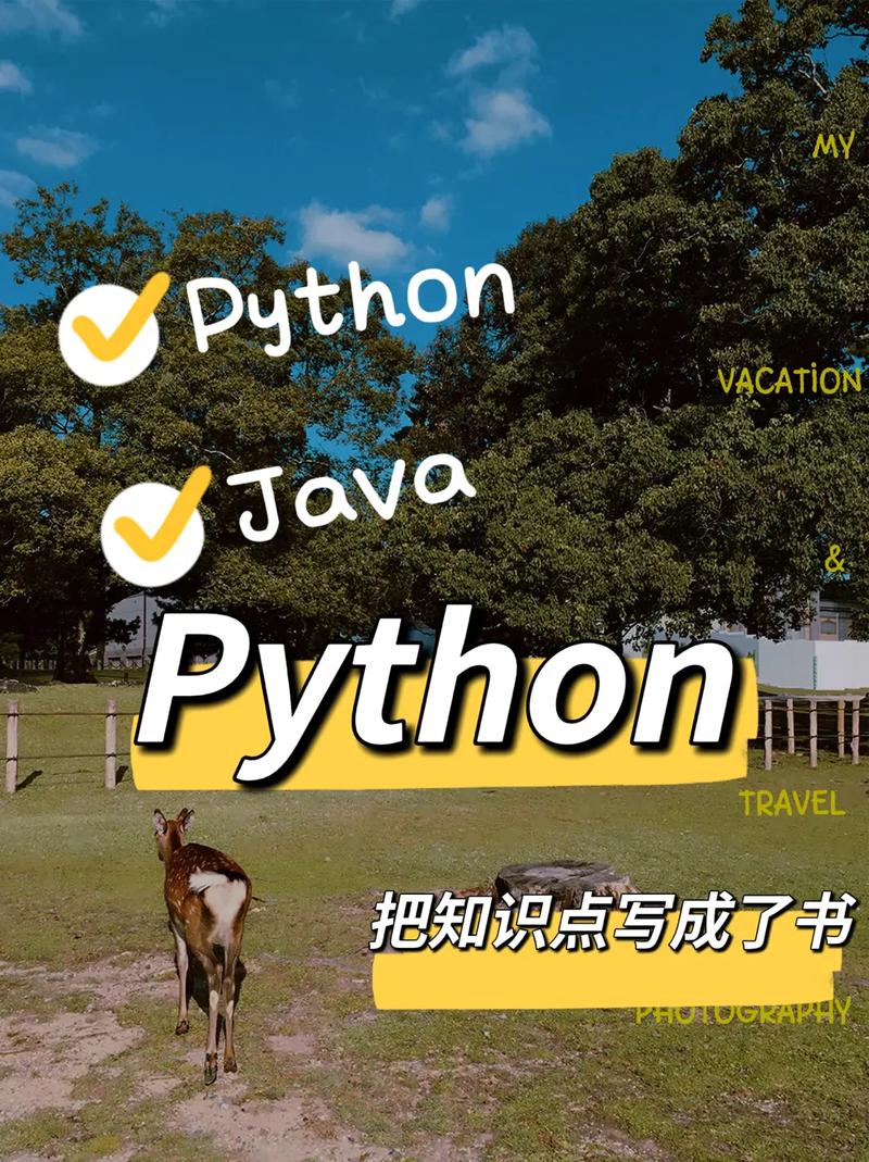 学python到底有没有用 2021学python有前途吗 Csdn博客