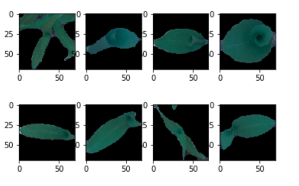 使用Python+OpenCV+Keras实现植物幼苗分类(附python演练)-CSDN博客