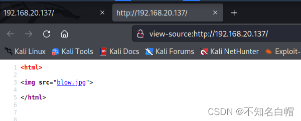 CTF-PUT上传漏洞【超详细】-CSDN博客