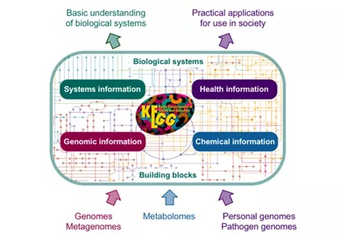 常用的生物通路数据库汇总-CSDN博客
