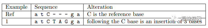 DNA 5. 基因组变异文件VCF格式详解_vcf文件示例-CSDN博客