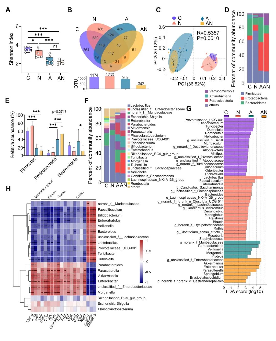 Microbiome | 吉林大学付云贺组揭示“瘤胃/肠道源性乳腺炎”的新机制-CSDN博客