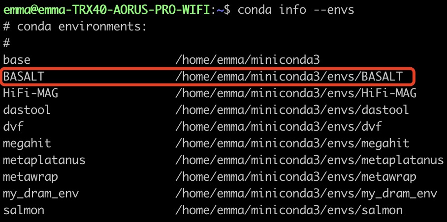 BASALT配置及使用中文说明-CSDN博客