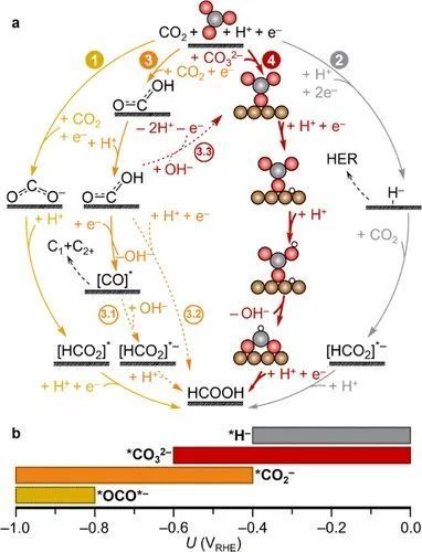 【VASP解读】JACS ：探索Cu基催化剂碳酸盐直接还原路径，提高CO2RR效率的新方案_vasp计算的频率和co光谱实验-CSDN博客